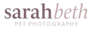 Sarah Beth Photography | Pet Portraits | Minneapolis St. Paul